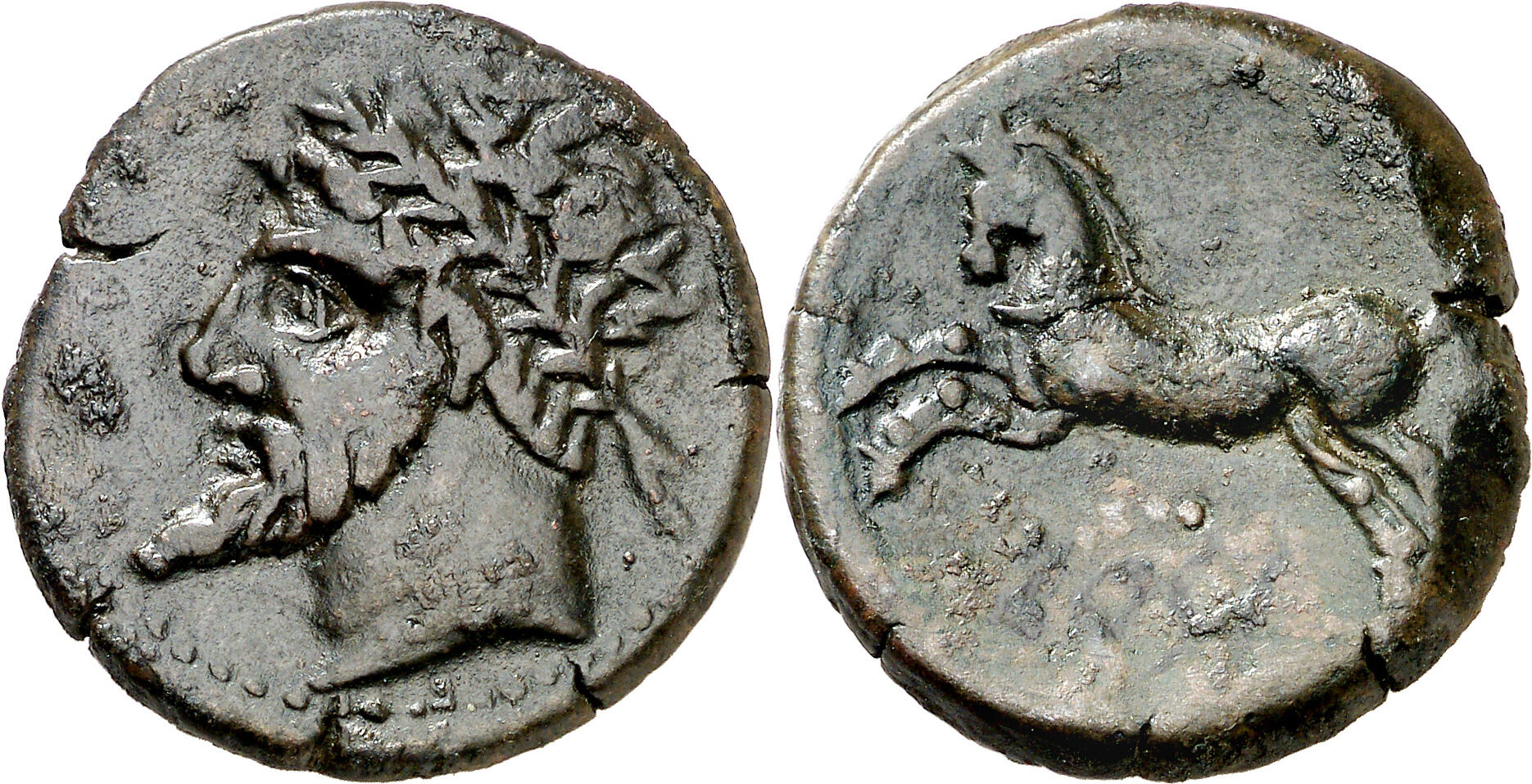 CoinArchives.com Search Results : micipsa