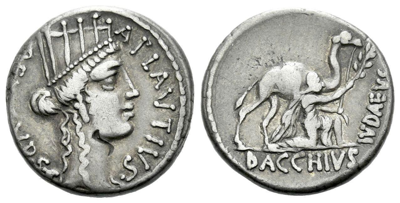 CoinArchives.com Search Results : camel