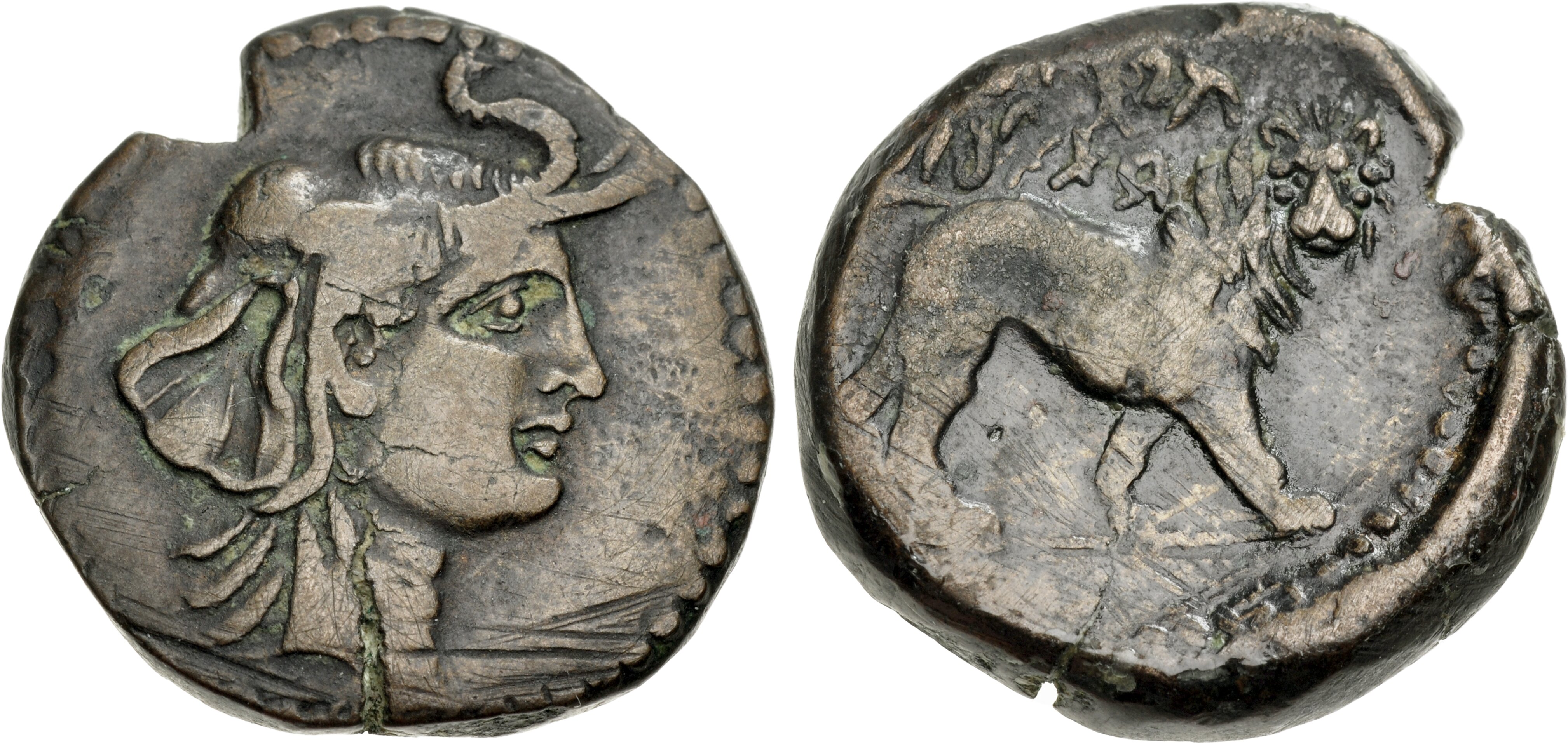 CoinArchives.com Search Results : Numidia