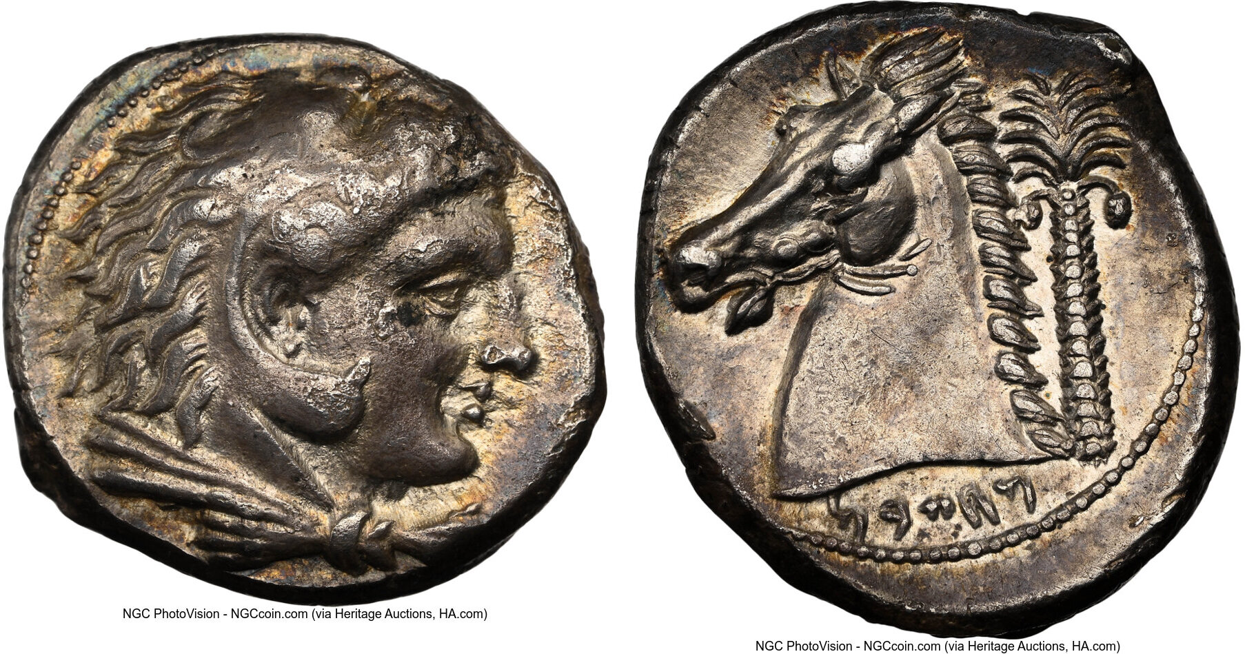 CoinArchives.com Search Results : punic