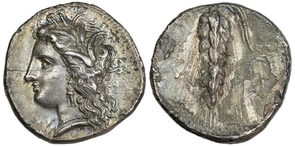 CoinArchives.com Search Results : metapont