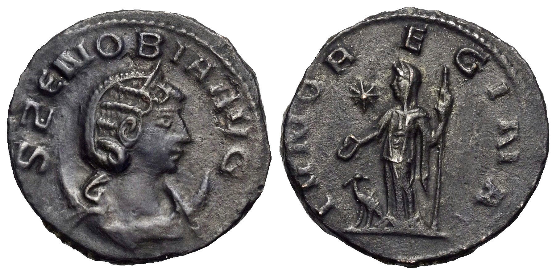 CoinArchives.com Search Results : Zenobia