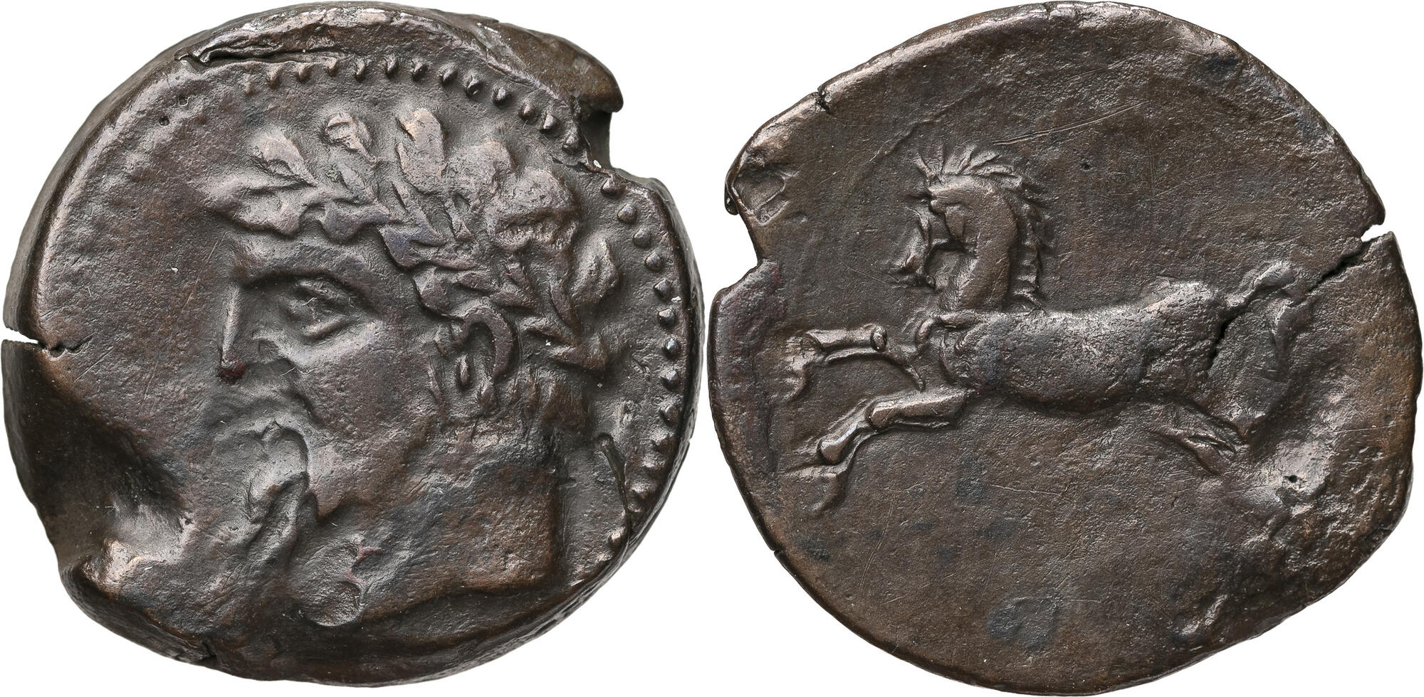 CoinArchives.com Search Results : micipsa