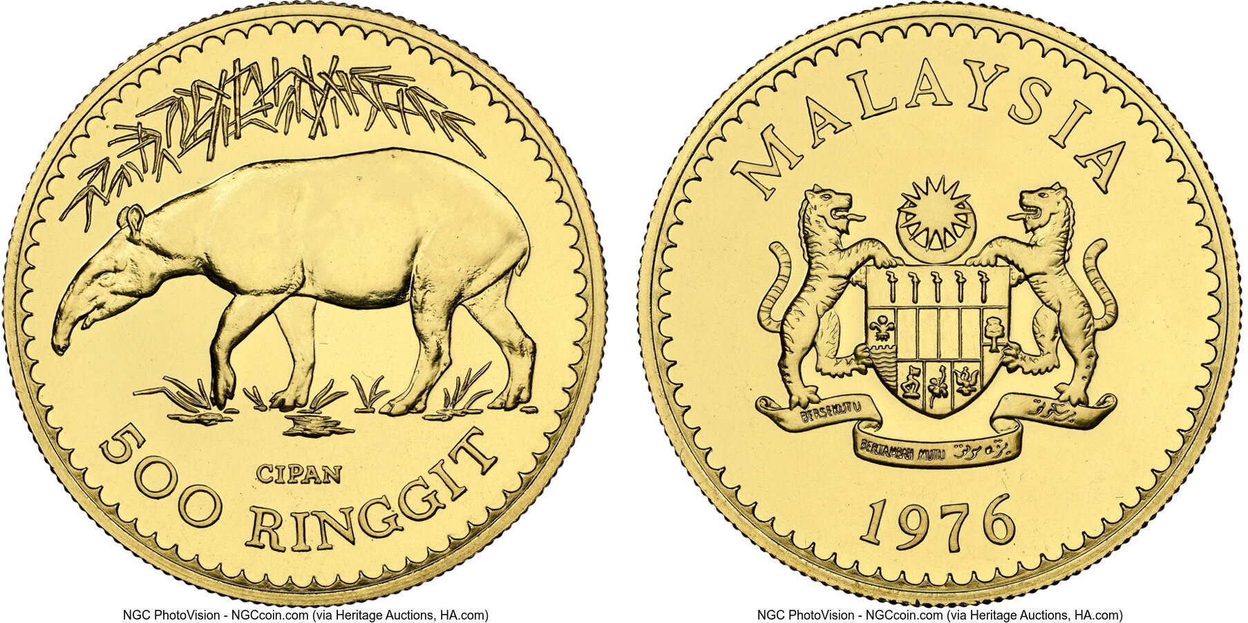 CoinArchives.com Search Results : MALAY