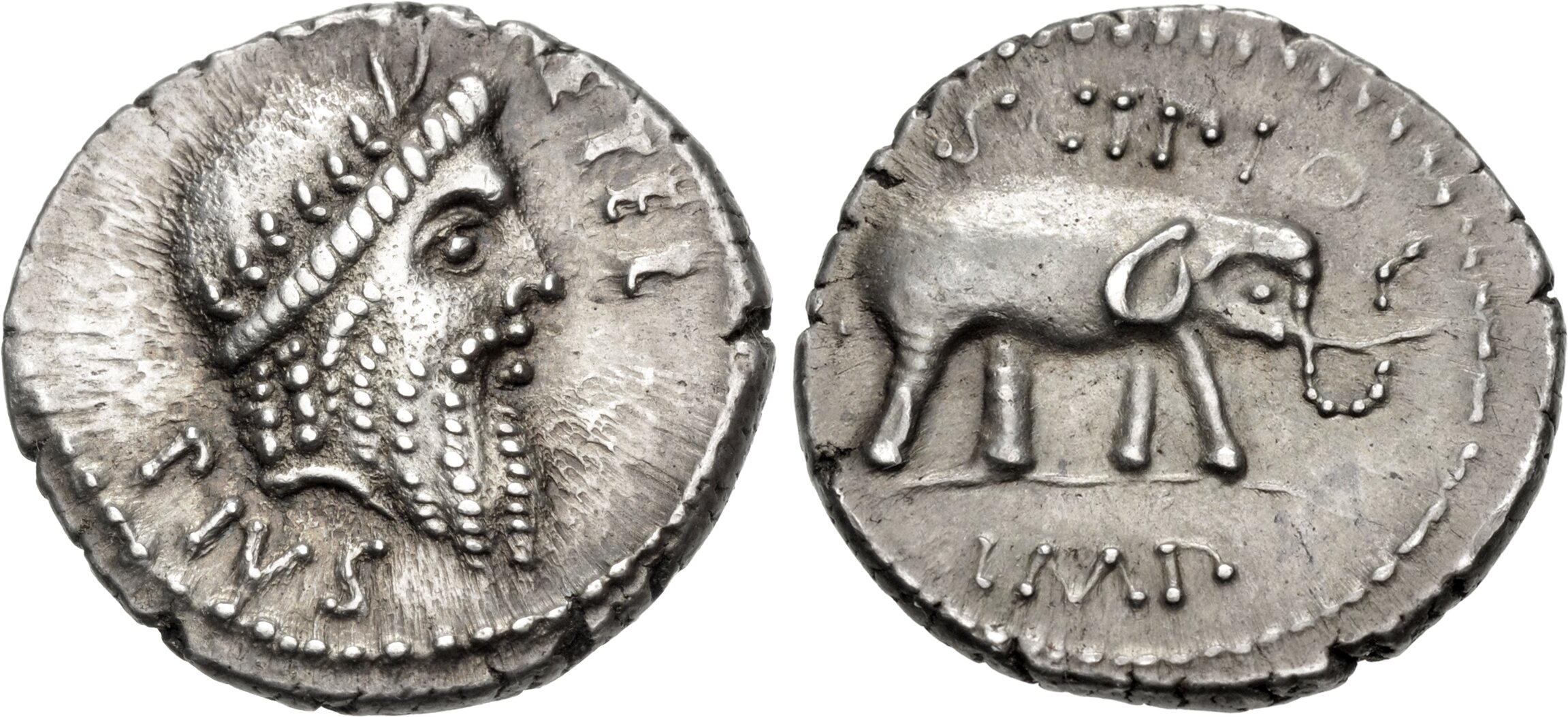 CoinArchives.com Search Results : Scipio