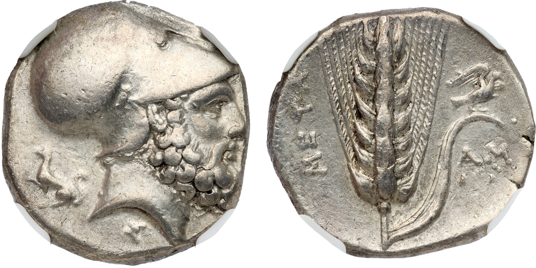 CoinArchives.com Search Results : metapont