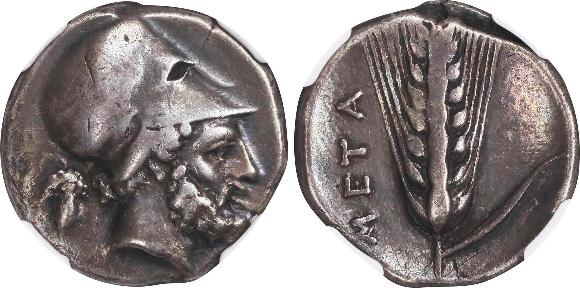 CoinArchives.com Search Results : metapont