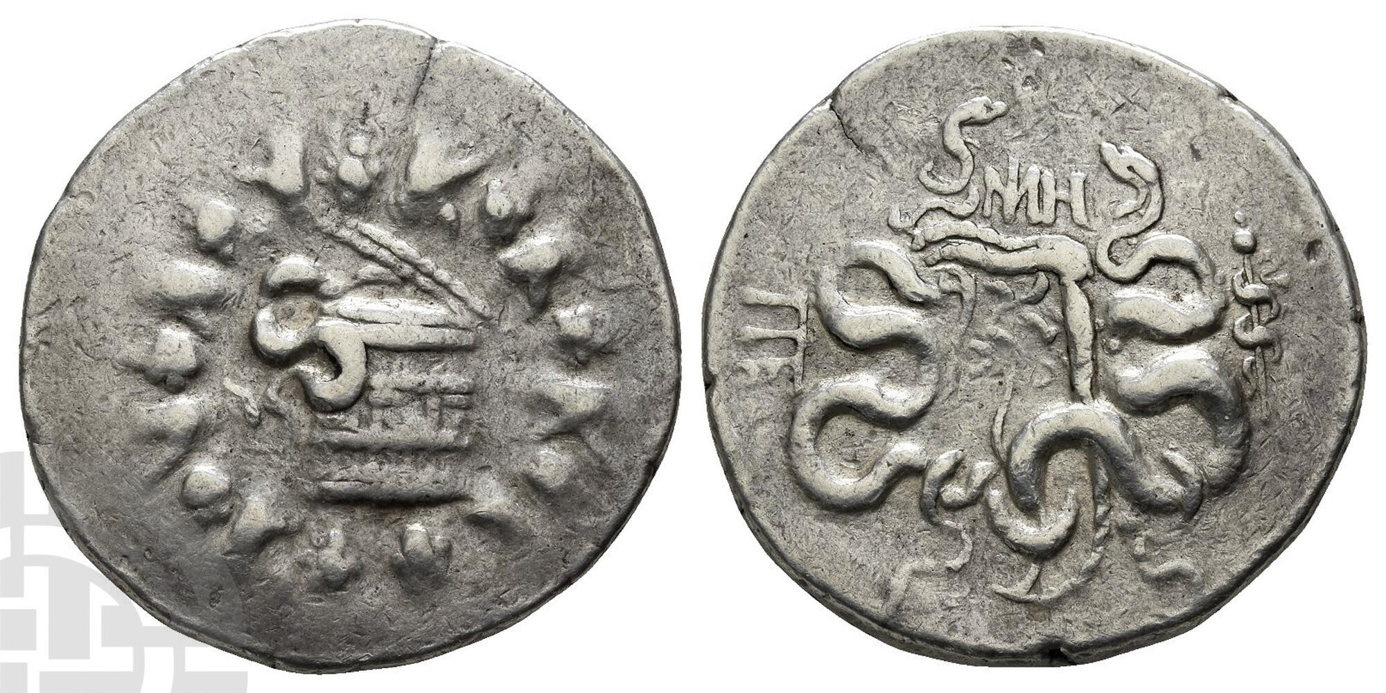 CoinArchives.com Search Results : snakes